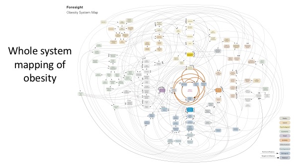 Whole systems evaluation – PIELink